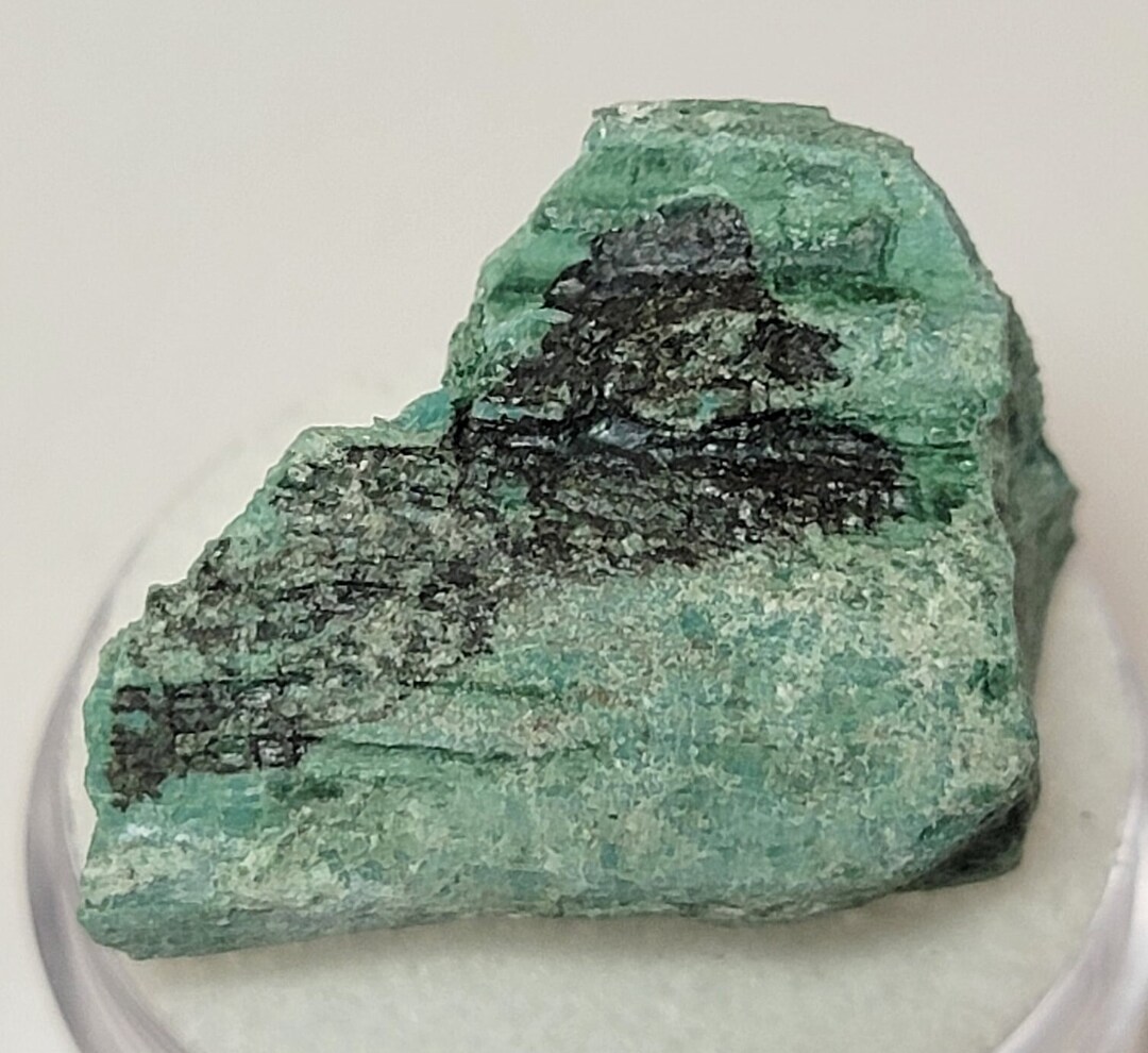 7 Grams Extremely RARE, Nice Green CHROMIUM Petrified Wood From Winslow ...