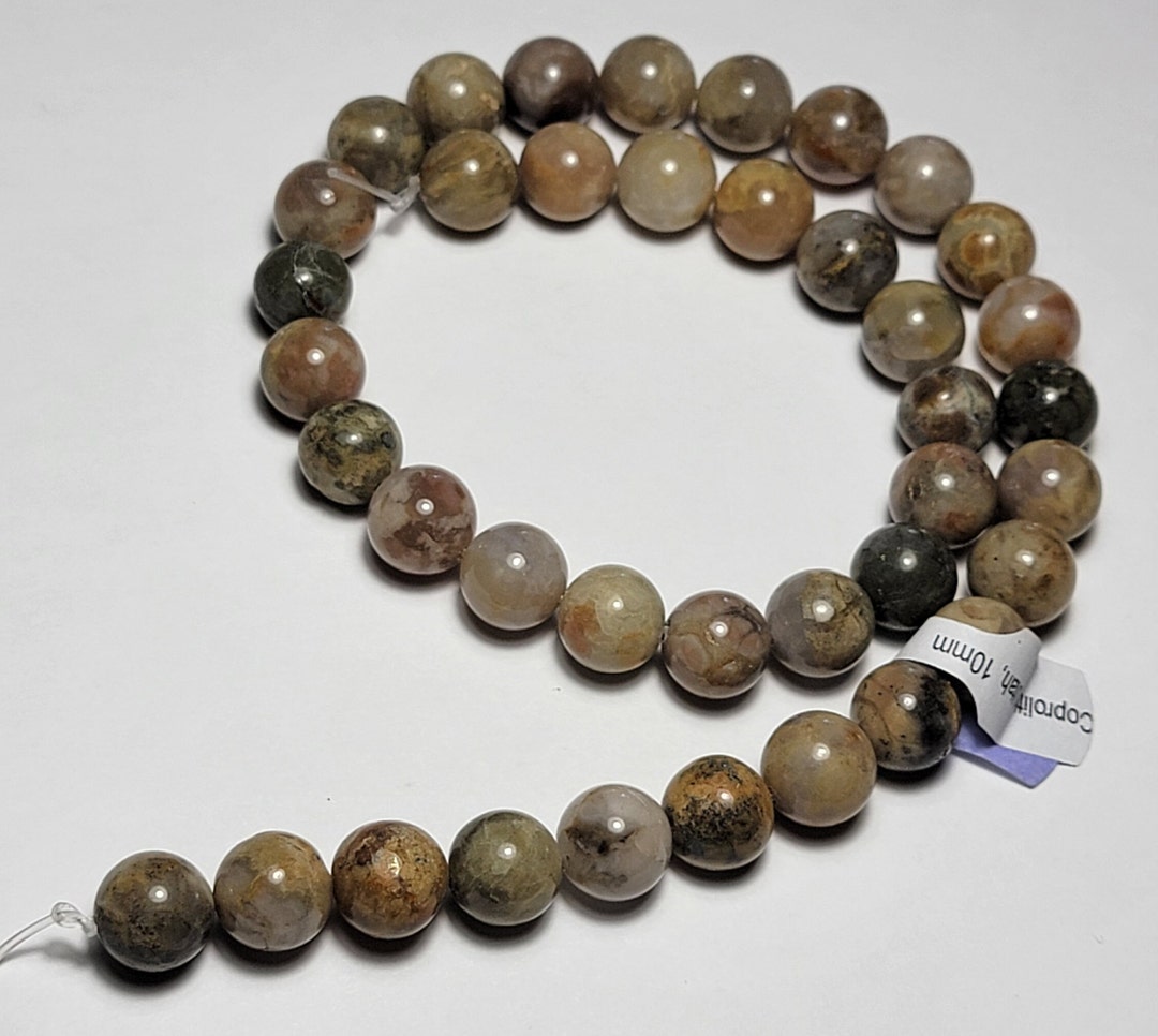 Strand of Coprolite Beads About 10mm Fossil DINOSAUR POOP Jurassic 54. ...