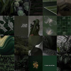 100 PCS Forest Green Wall Photo Collage Green Aesthetic Wall Collage ...