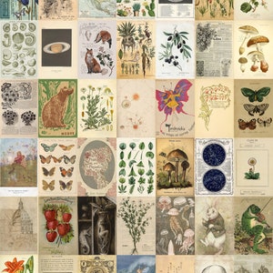 200 PCS Cottagecore Wall Collage Kit Vintage Cottagecore Poster Collage ...