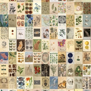 200 PCS Cottagecore Wall Collage Kit Vintage Cottagecore Poster Collage ...