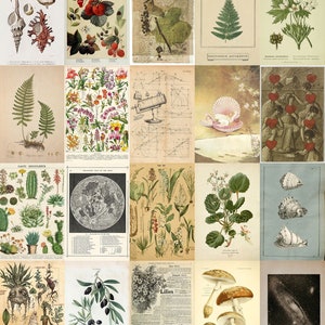 200 PCS Cottagecore Wall Collage Kit Vintage Cottagecore Poster Collage ...
