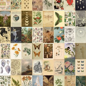 200 PCS Cottagecore Wall Collage Kit Vintage Cottagecore Poster Collage ...