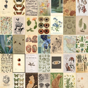 200 PCS Cottagecore Wall Collage Kit Vintage Cottagecore Poster Collage ...