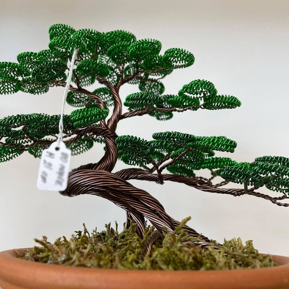 Africian Green Bonsai / Wire Tree / Metal Tree / Aluminum Bonsai ...