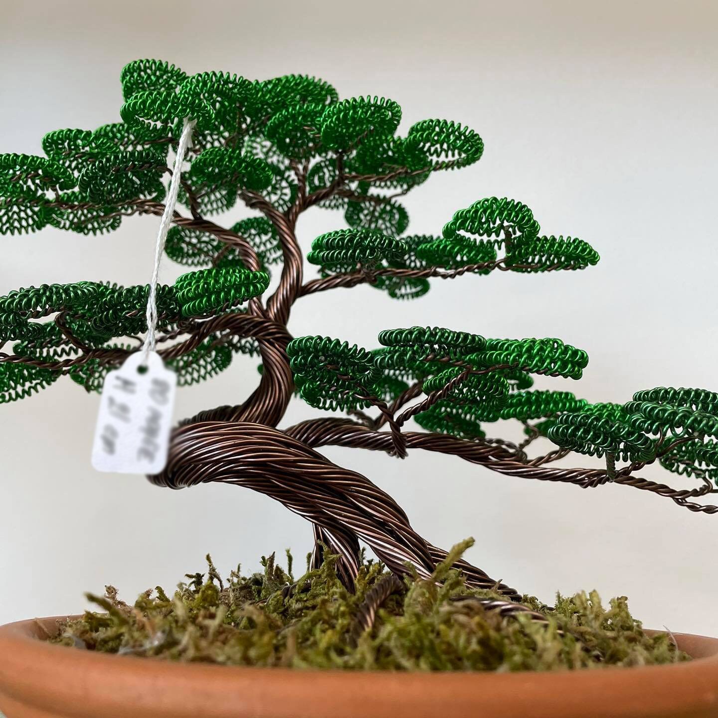 Africian Green Bonsai / Wire Tree / Metal Tree / Aluminum Bonsai ...