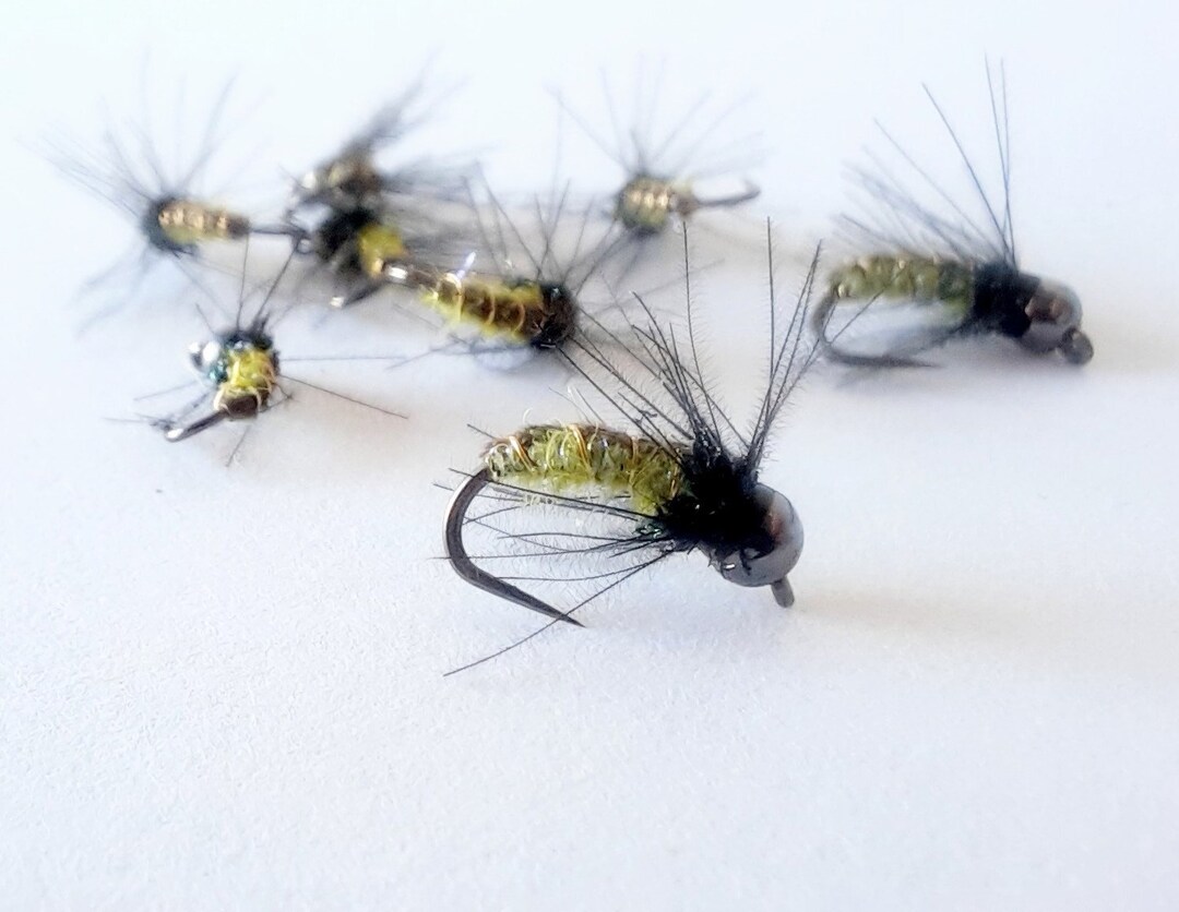 4 - CDC Caddis Pupa - Caddis Nymphs. Trout Flies. Fly Fishing Flies ...