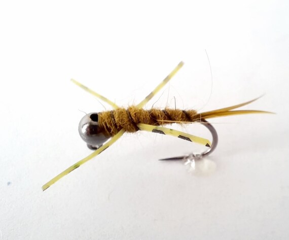 4 Olive Stonefly Jig Euro Nymphs. Trout Flies. Tungsten. | Etsy