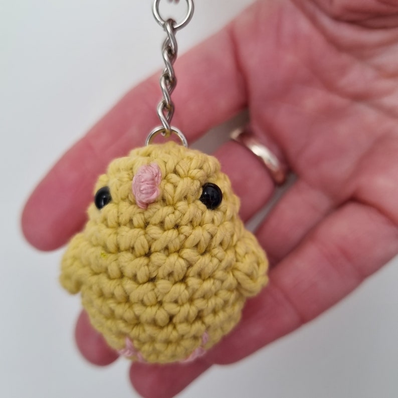 Cute Crochet Mini Birds Budgie Cockatiel Keyring Buddies. - Etsy