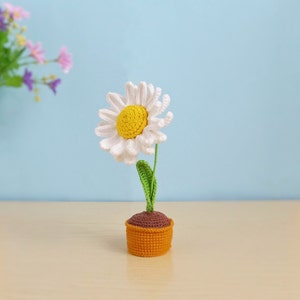 Daisy Flower Crochet Pattern | Crochet Daisy Flower Pattern | Crochet ...