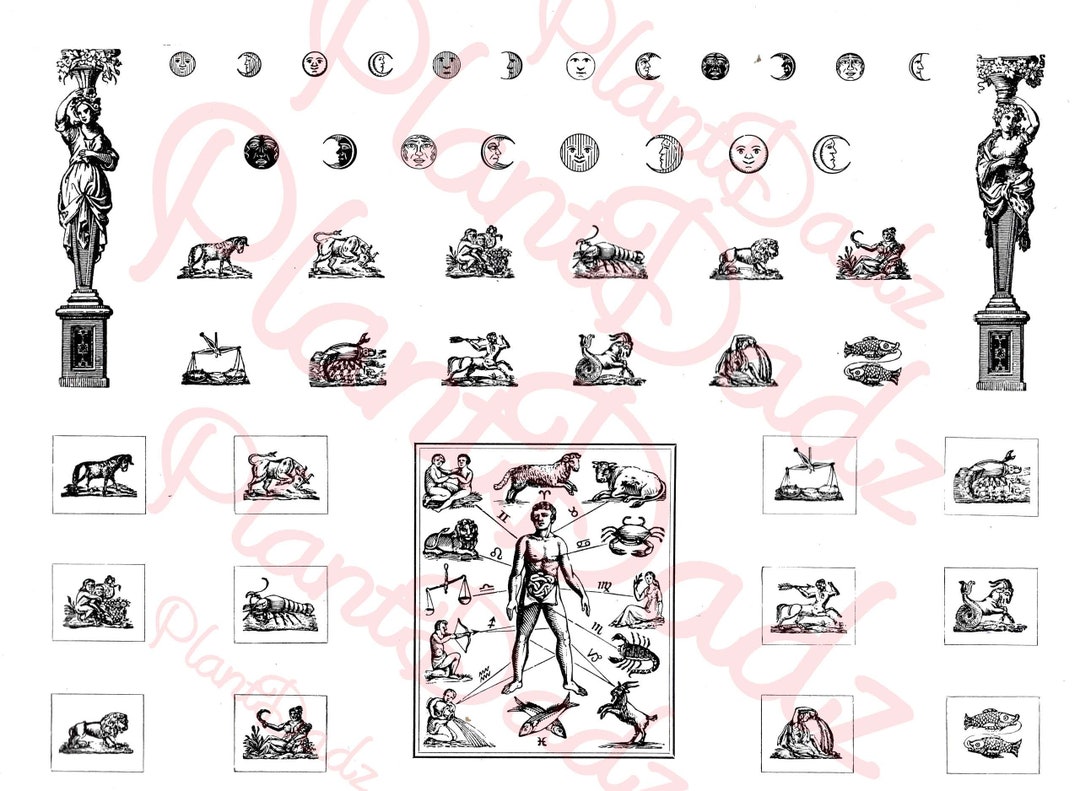 663 Digital Download- Assorted Mythical Greek Dealing With Astrological ...