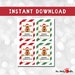 Reindeer Candy Cane Holder Template | Candy Cane Gram | Christmas Candy ...
