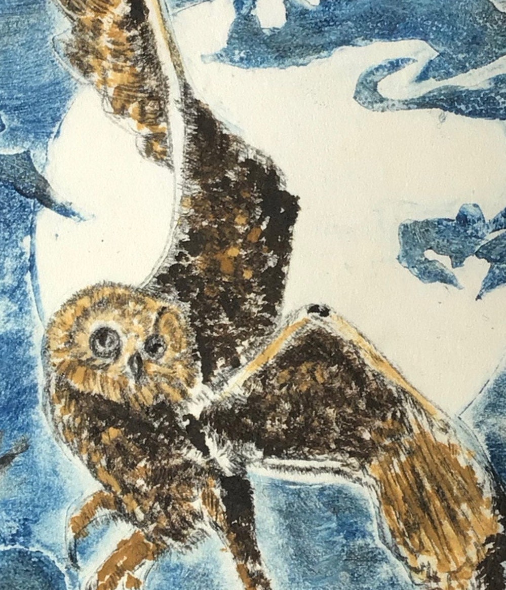 Midnight Owl Print, Handprinted Drypoint Etching - Etsy UK