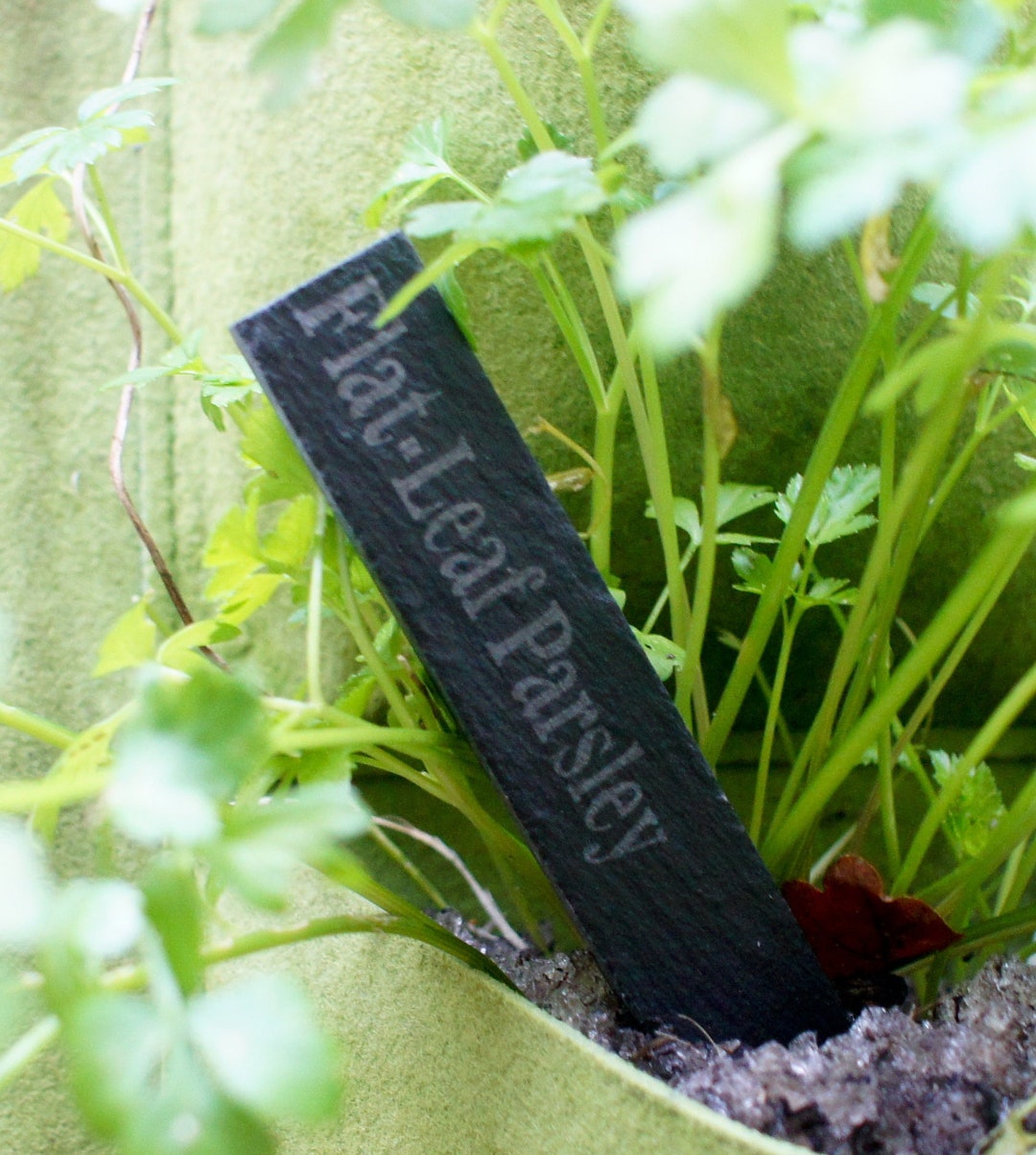 Laser Engraved Slate Plant Labels, Ideal for Herbs, Vegetables or ...
