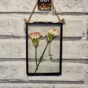 Dried Carnations Pressed Carnation in a Hanging Glass - Etsy