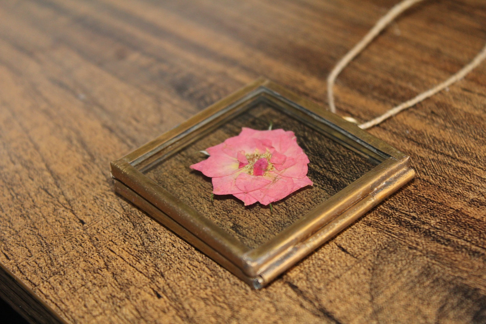 Pink Pressed Rose Presented in a 2 X 2 Metal Frame - Etsy