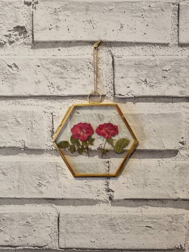 2 Red Pressed Roses Framed Pressed Rose Flower Wall Art - Etsy UK