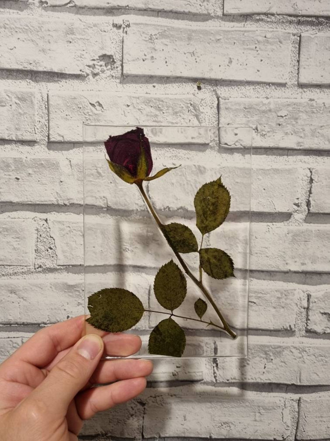 Twin Red Roses Pressed Red Rose His and Hers Pressed Rose - Etsy