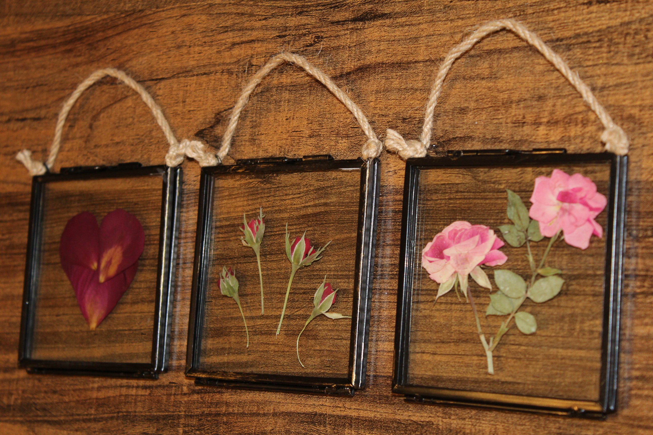 4 Pressed Rose Buds Framed Pressed Rose Flower Wall Art - Etsy UK