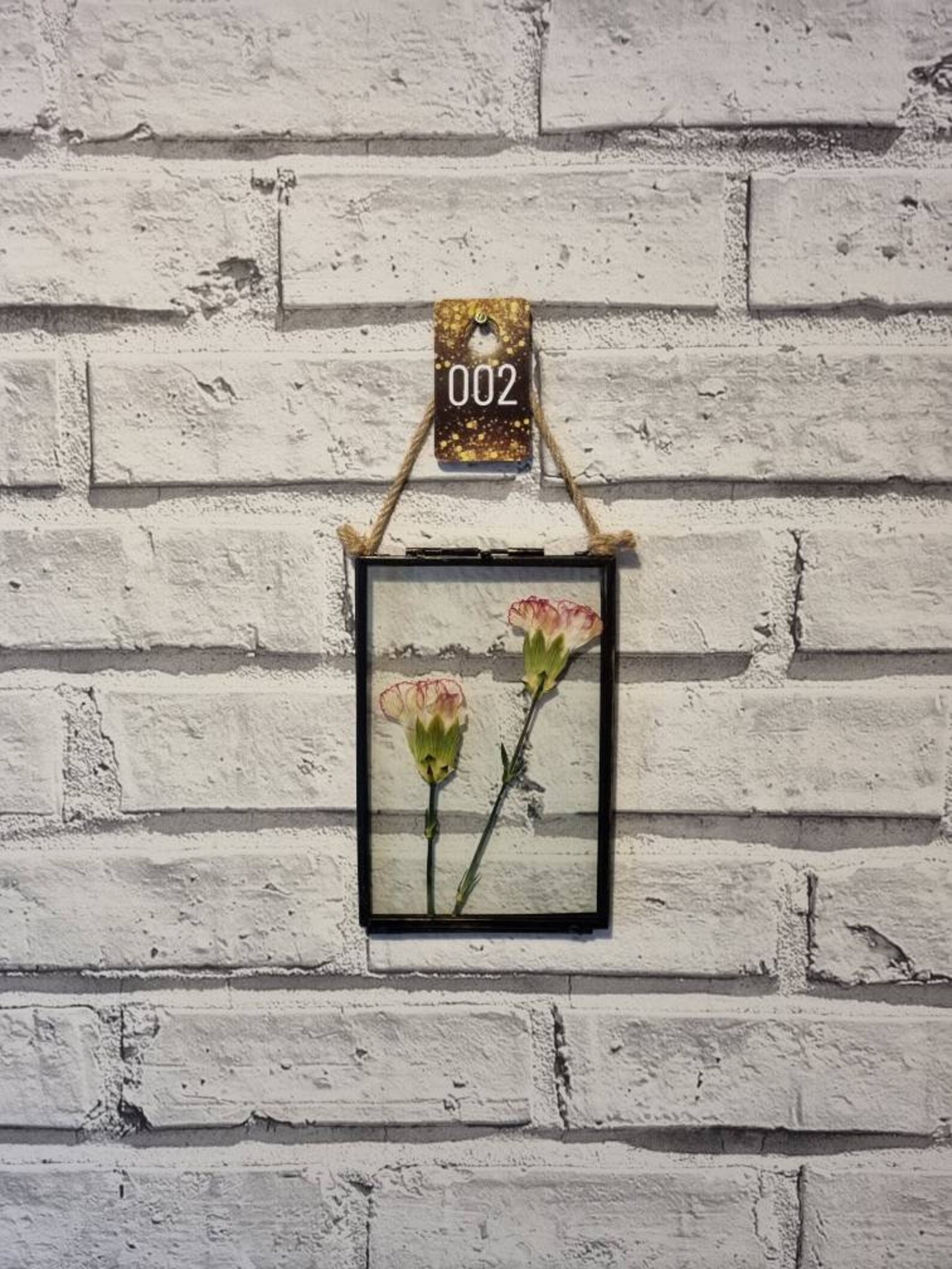 Dried Carnations Pressed Carnation in a Hanging Glass - Etsy