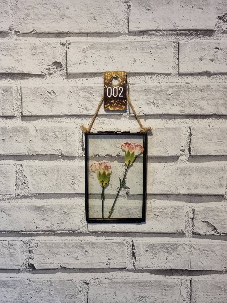 Dried Carnations Pressed Carnation in a Hanging Glass 6x4 Frame Dried ...