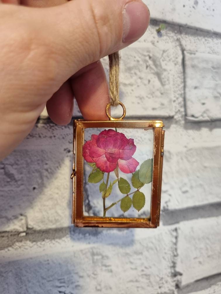 2 Red Pressed Roses Framed Pressed Rose Flower Wall Art | Etsy UK