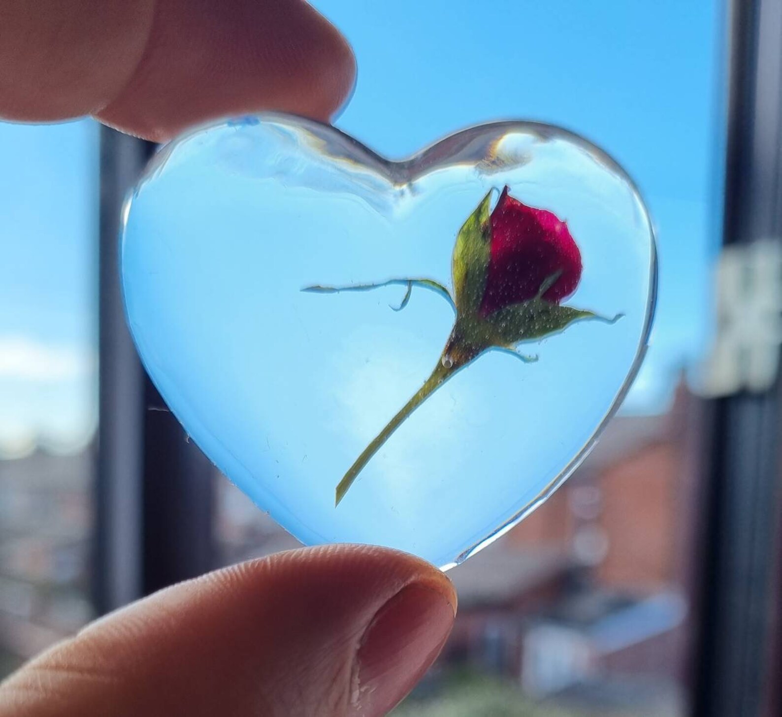 Red Rose Resin Hearts Gifts for Her Resin Flowers Dried - Etsy UK