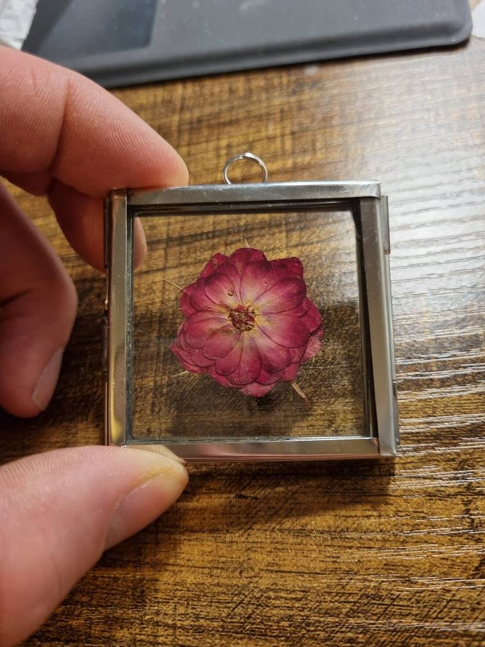 Pink Pressed Rose Presented in a 2 X 2 Metal Frame - Etsy