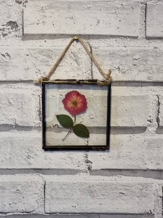 Red Rose Flower Frames