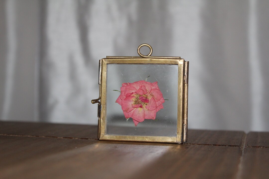 Pink Pressed Rose Presented in a 2 X 2 Metal Frame - Etsy