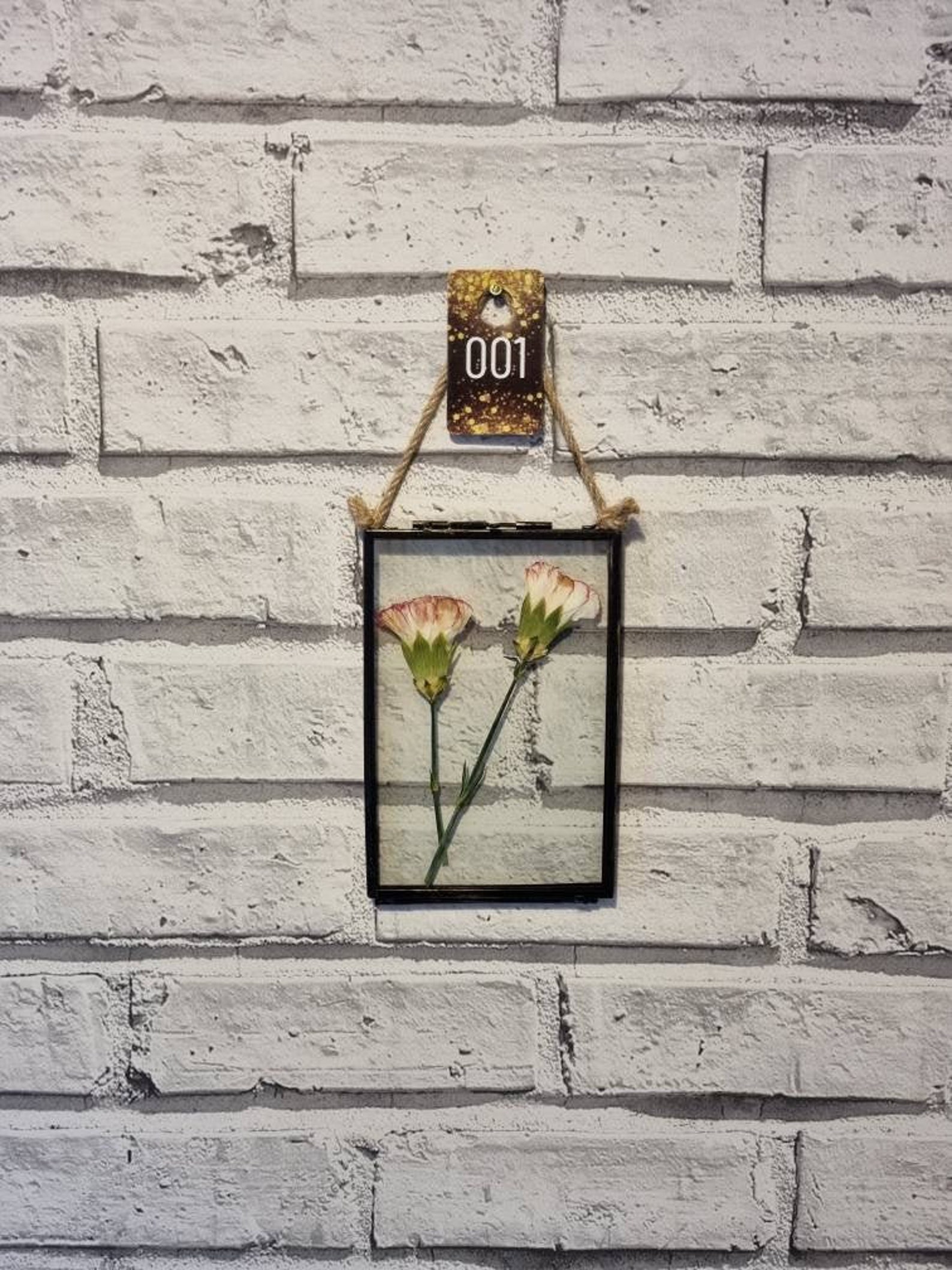 Dried Carnations Pressed Carnation in a Hanging Glass - Etsy