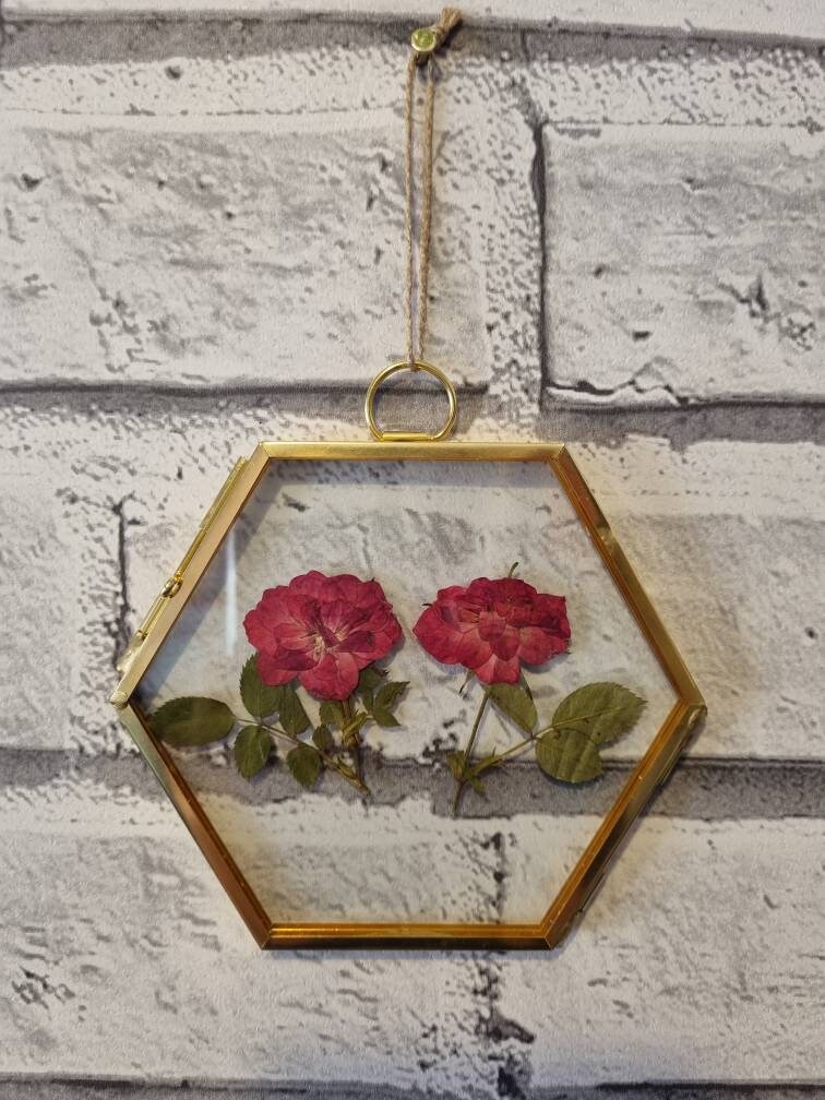 2 Red Pressed Roses Framed Pressed Rose Flower Wall Art - Etsy UK