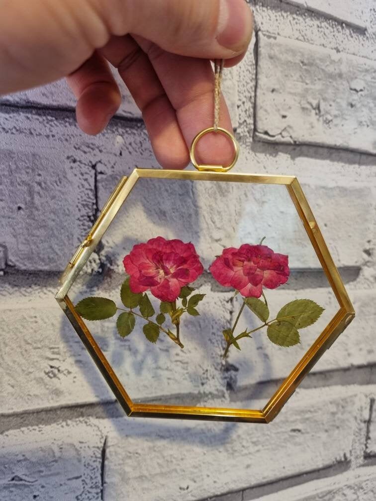 2 Red Pressed Roses Framed Pressed Rose Flower Wall Art Flower Wall ...