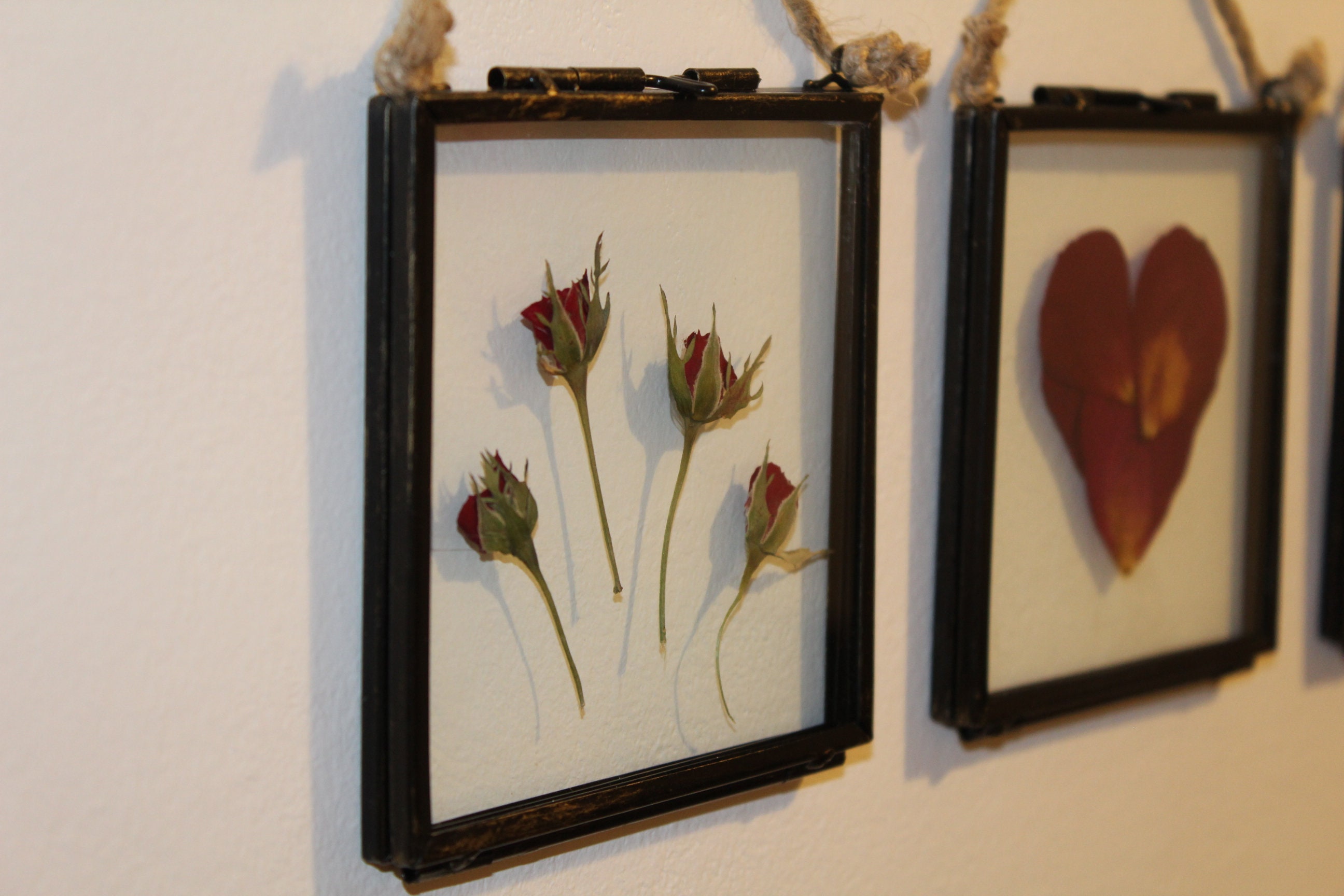 4 Pressed Rose Buds Framed Pressed Rose Flower Wall Art - Etsy UK