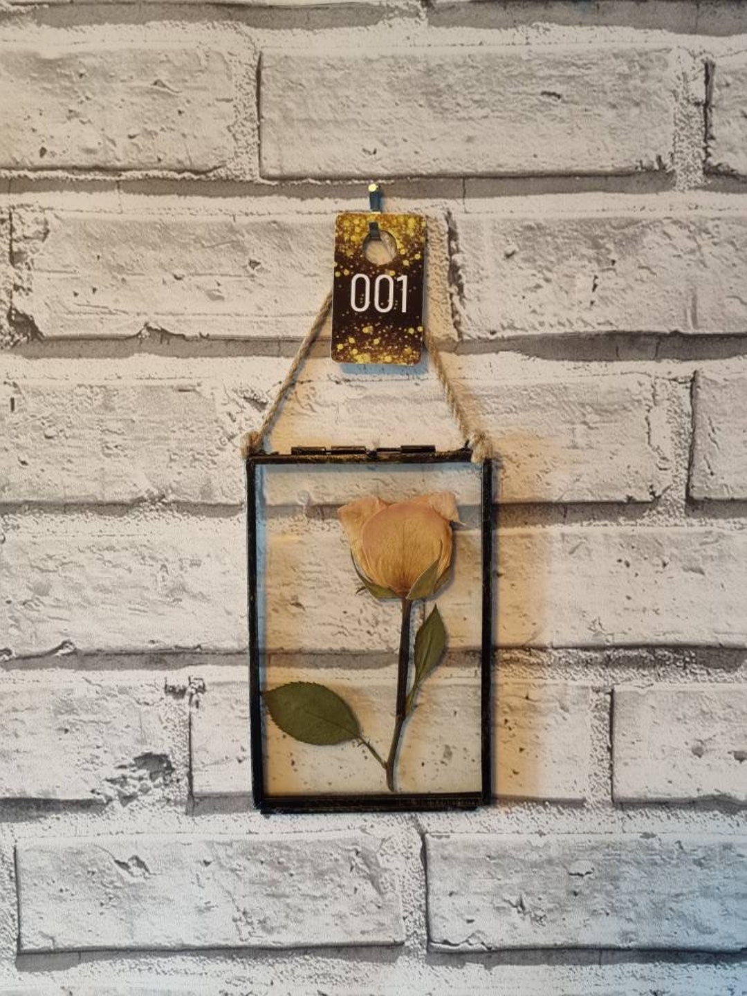 Dried Pink Rose in Frame Pressed Rose Herbarium Dried Flowers Wall ...
