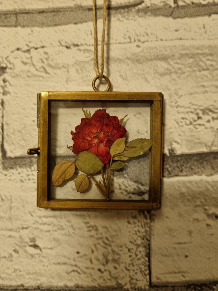 2 Red Pressed Roses Framed Pressed Rose Flower Wall Art - Etsy UK