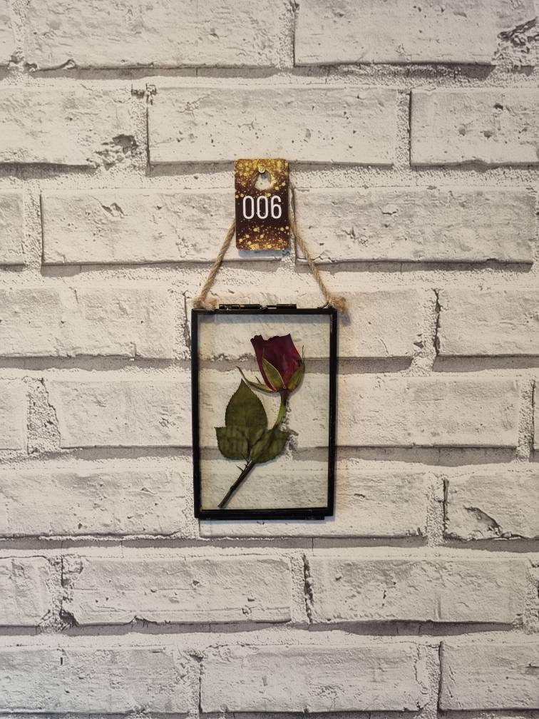 Pressed Rose Dried Red Rose in a Hanging Glass 6x4 | Etsy