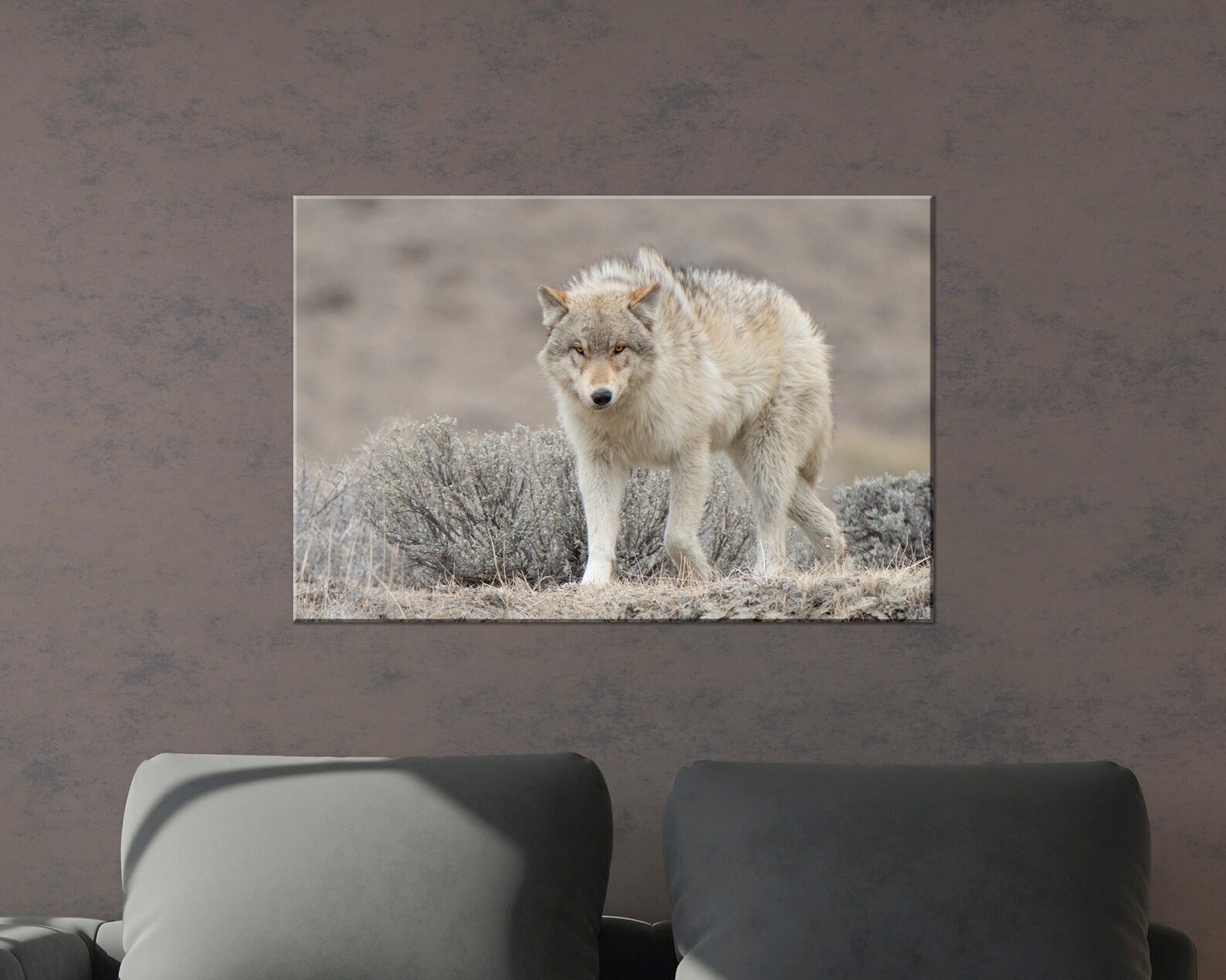 Wolves of Yellowstone, Wapiti Wolf, Photograph by Greg Albrechsten - Etsy