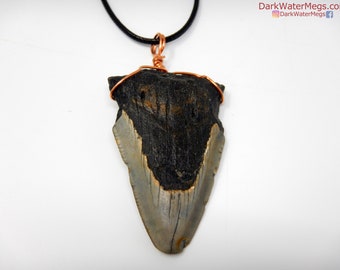 Meg Tooth Necklace - Etsy