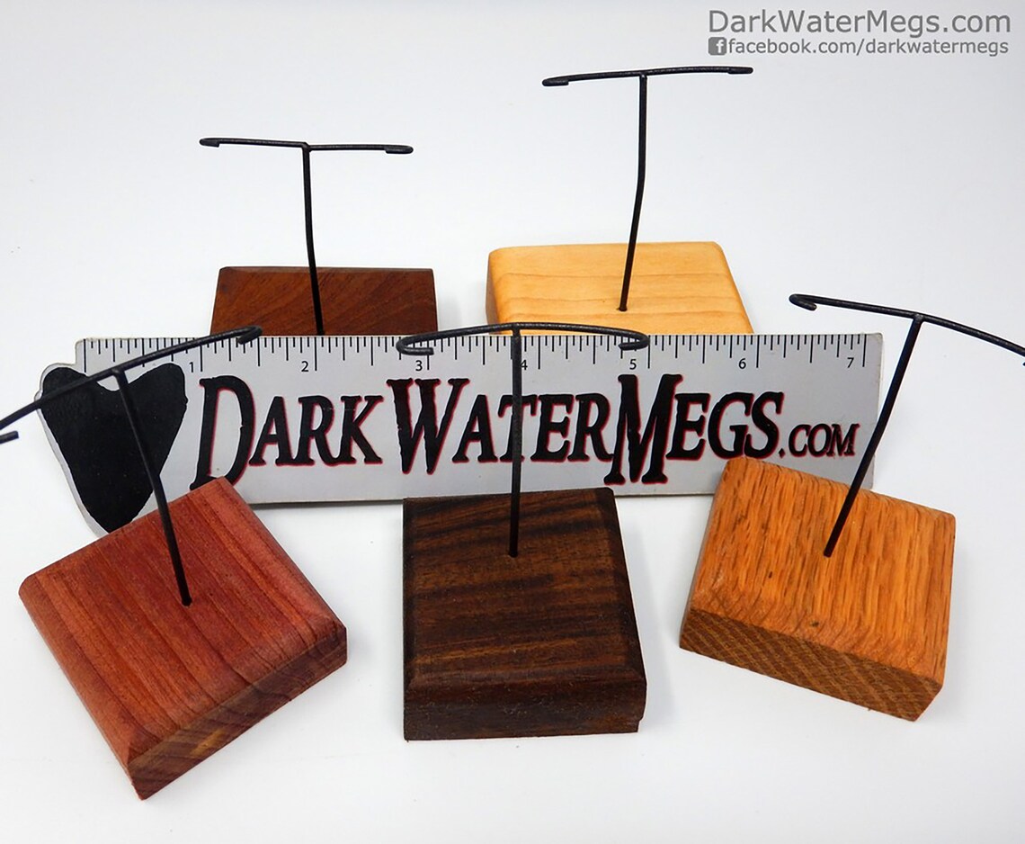 Small Fossil Shark Tooth Stand Shark Tooth Stand Custom - Etsy