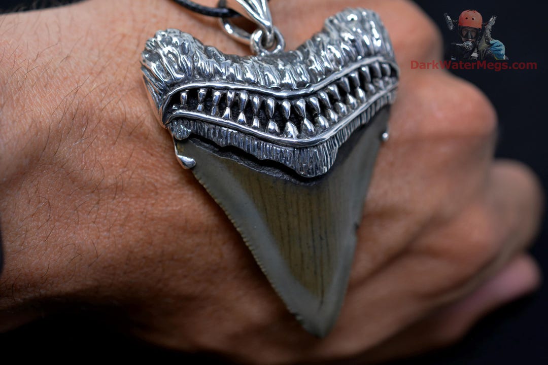 Real Megalodon Shark Tooth Fossil Pendant Sterling Silver - Diver ...