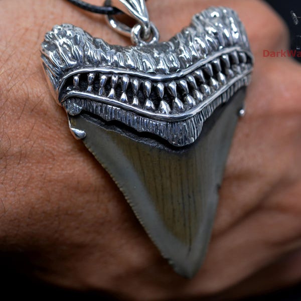 Megalodon Shark Tooth Necklace - Etsy