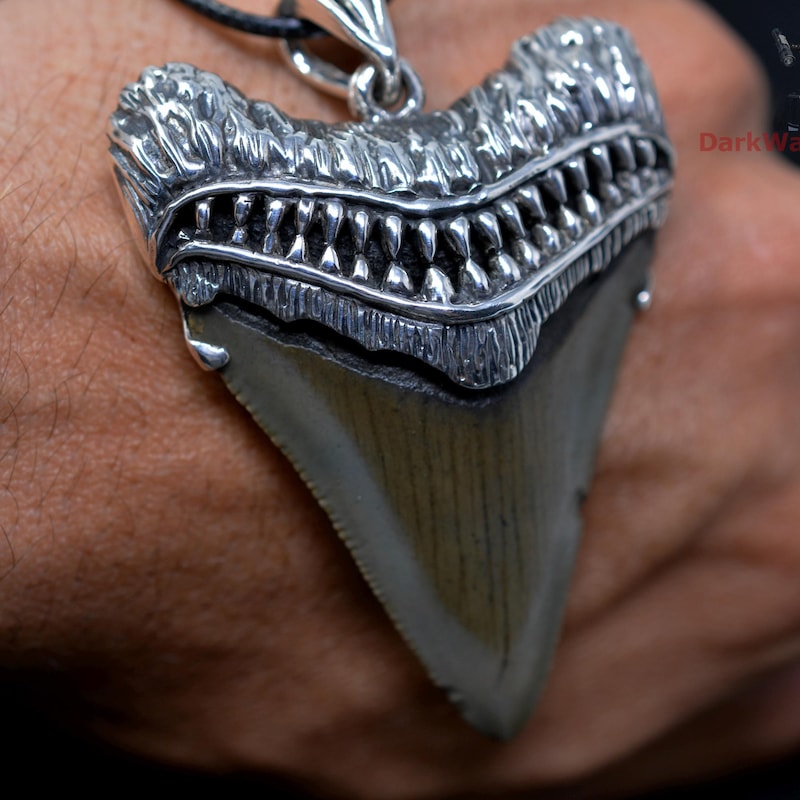 Megalodon Shark Tooth Necklaces - Etsy