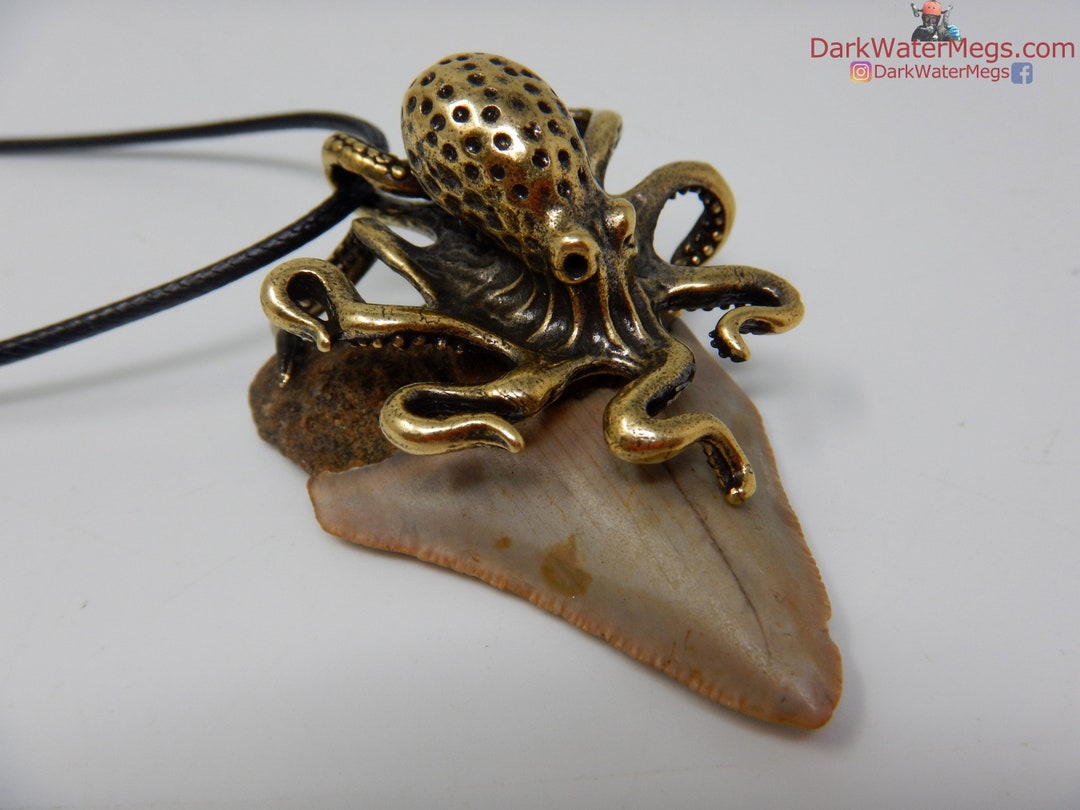 Real Megalodon Shark Tooth Fossil Neclace - Diver Direct - Fossilized ...