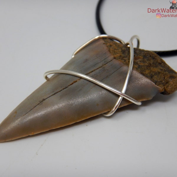 Real Tooth Necklace - Etsy