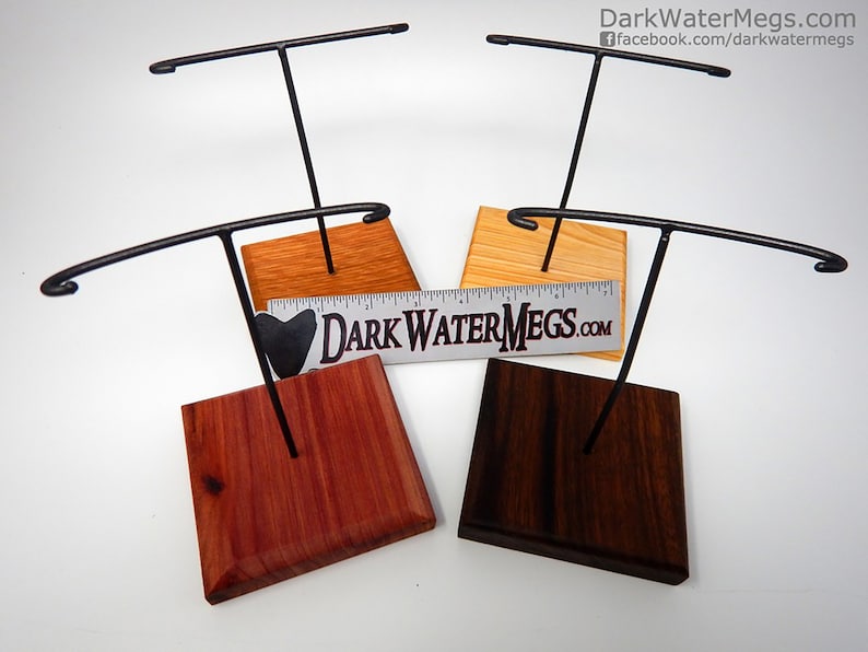 Large Megalodon Shark Tooth Stand Shark Teeth Stand Custom | Etsy