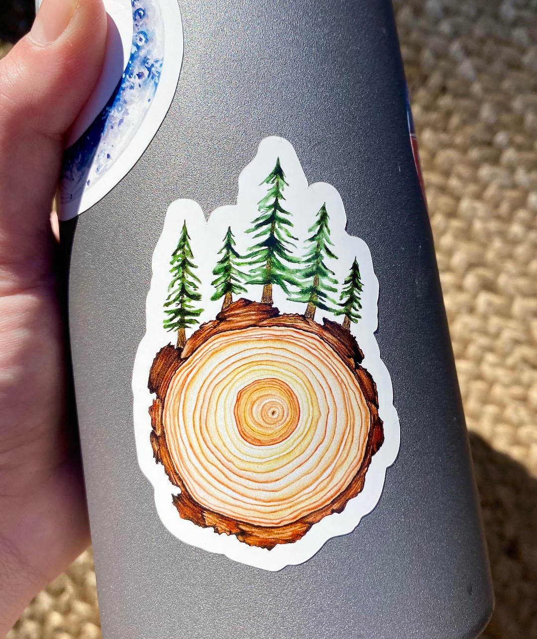 California Redwood Tree Sticker | National Forest | Outdoor Enthusiast ...