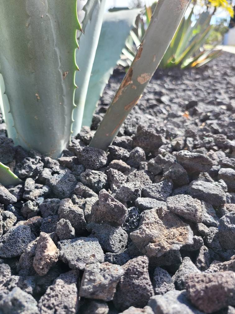 Black Lava Cinder Volcanic Rock 3/8' Volcano Gravel - Etsy