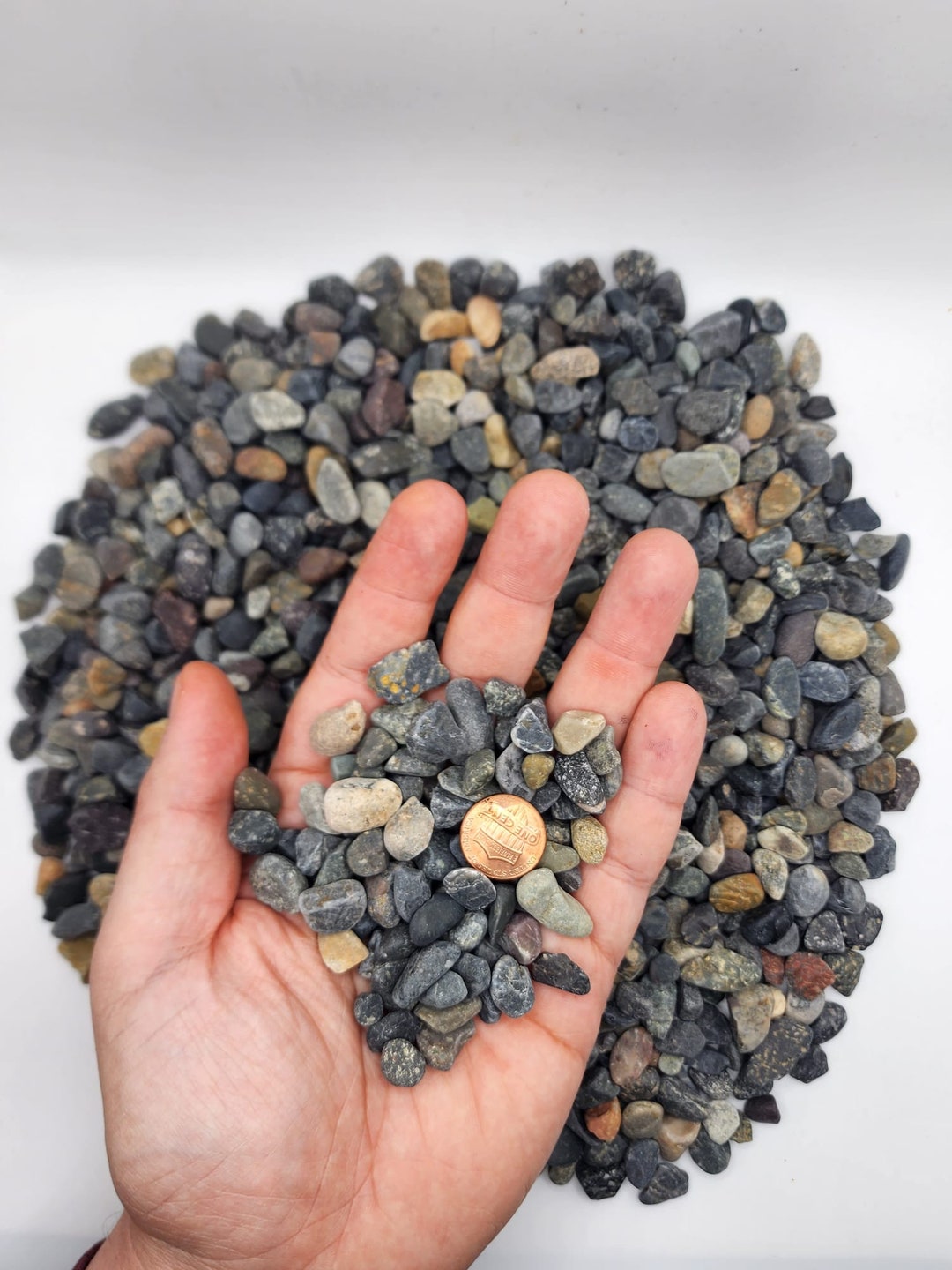 Mexican Beach Pebbles: Semi-tumbled Gravel for Aquarium, Succulents ...