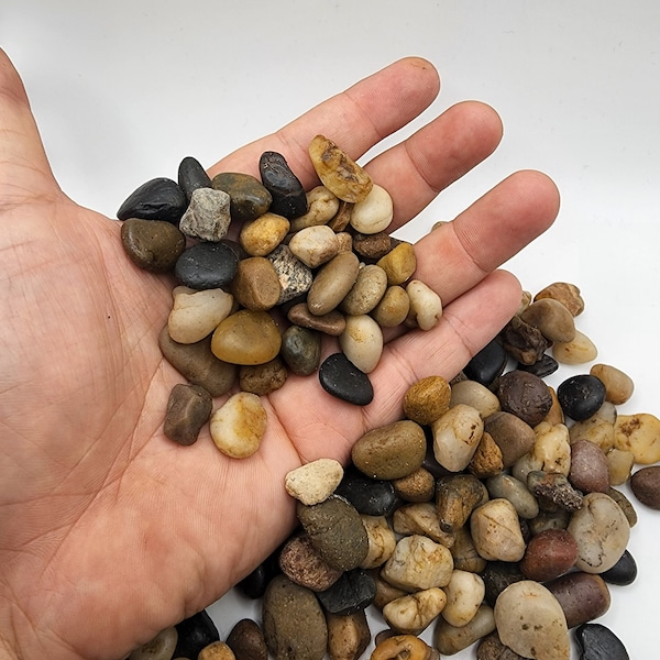 Polished Pebbles - Etsy